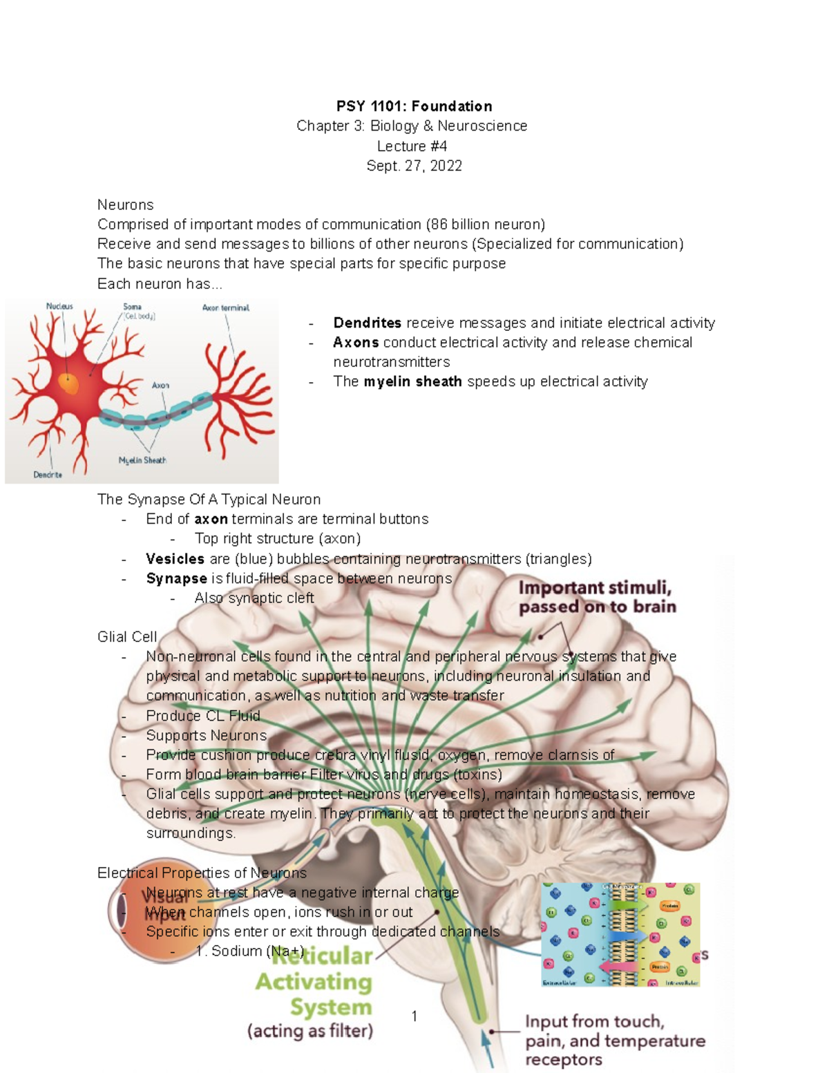Chapter 3 Lec 3 - PSY 1101: Foundation Chapter 3: Biology & Neuroscience Lecture # Sept. 27 ...