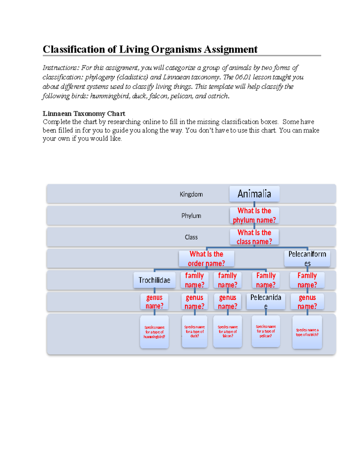 06 01 Classification Assignment Template - Classification of Living ...