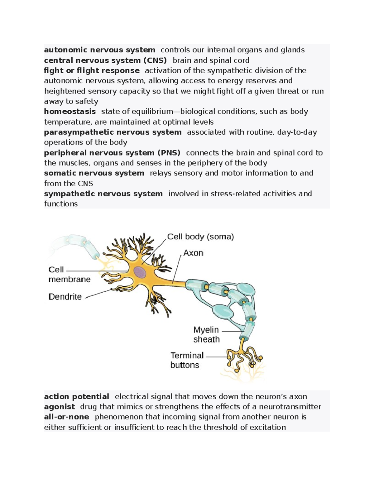 study material for semester - autonomic nervous system controls our ...