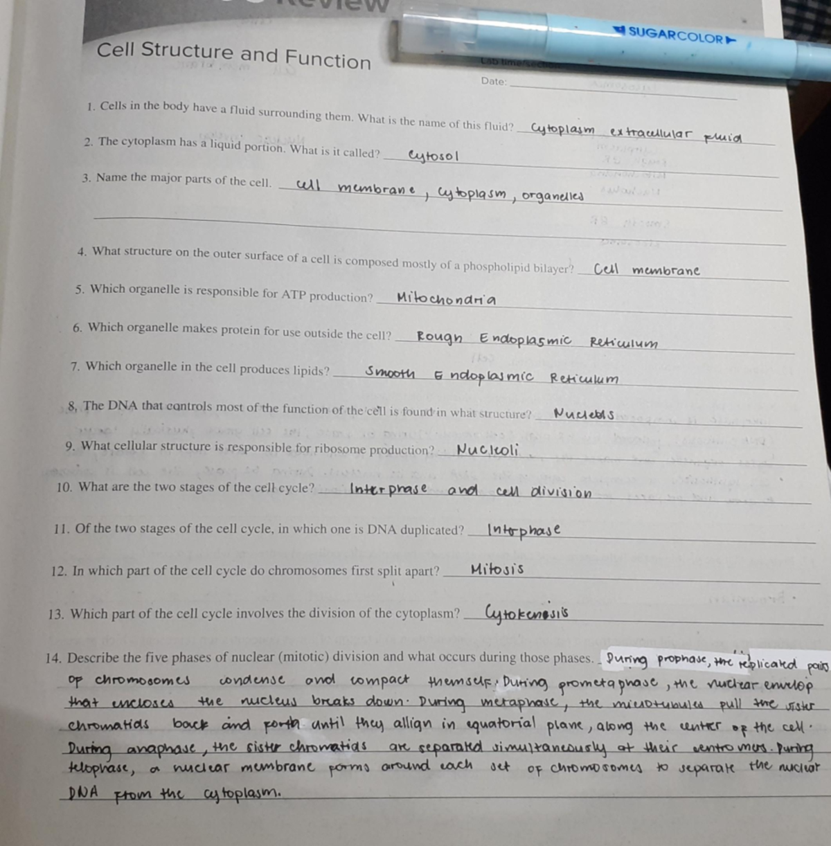 Exercise 4 Tissue Nursing Studocu