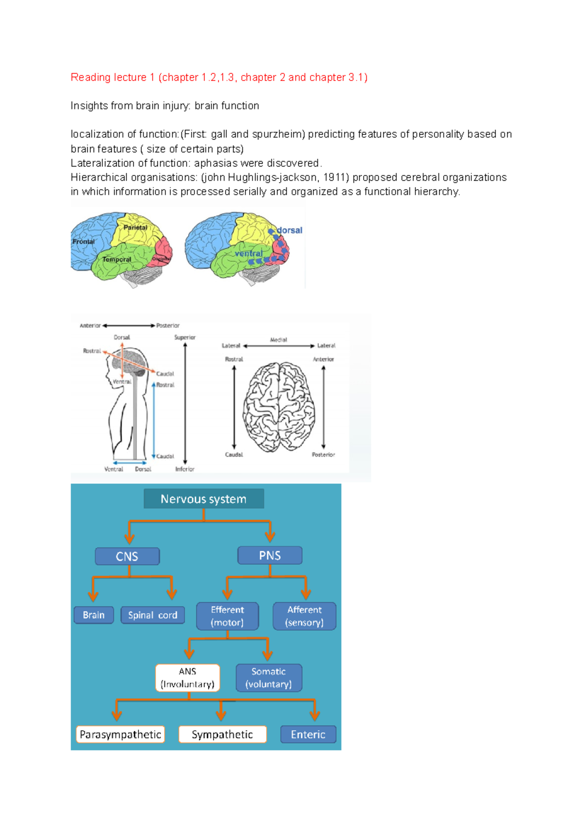 Neuropsychology - Reading lecture 1 (chapter 1,1, chapter 2 and chapter ...