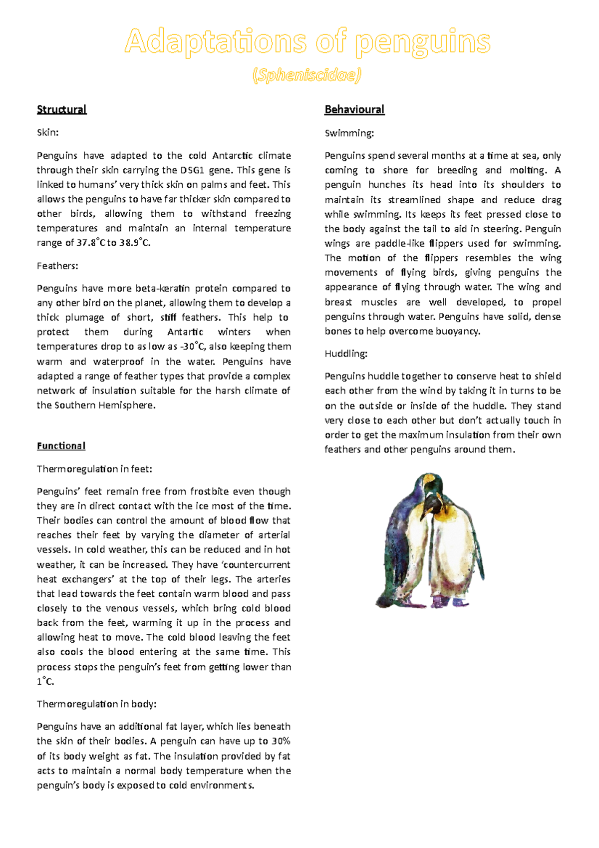Penguin Poster - Behavioural Swimming: Penguins spend several months at ...