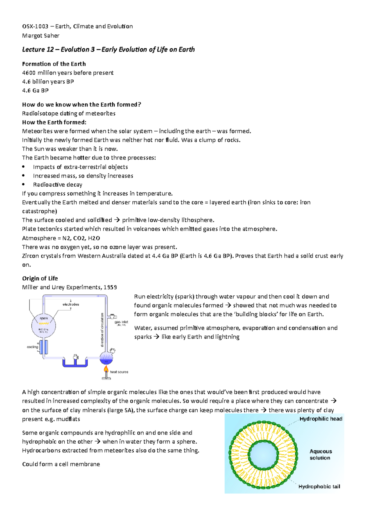 Lecture 12 - Early Evolution of Life on Earth - OSX-1003 – Earth ...