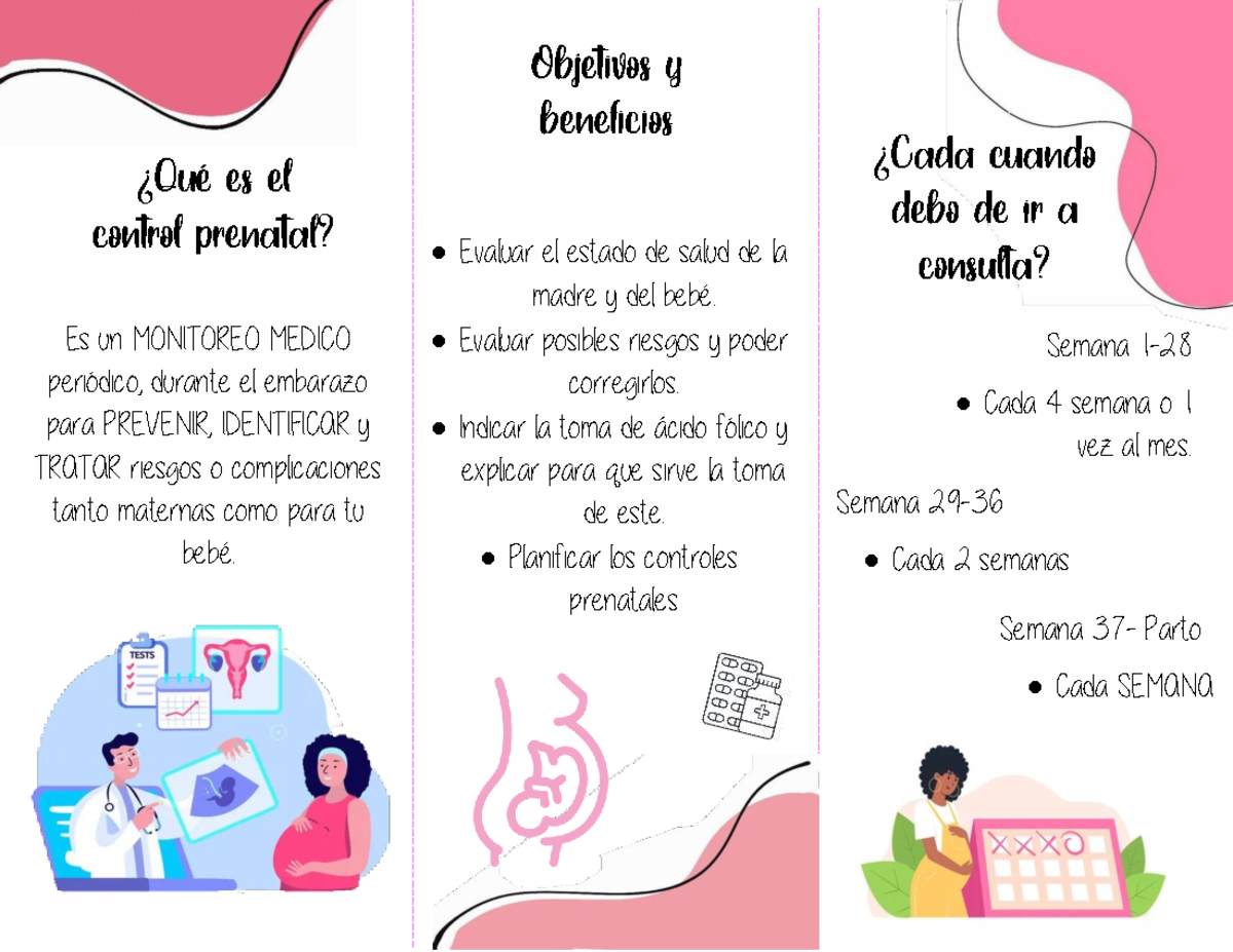 Triptico Control Prenatal - Cuidados de Mujer y Recién - Es un ...