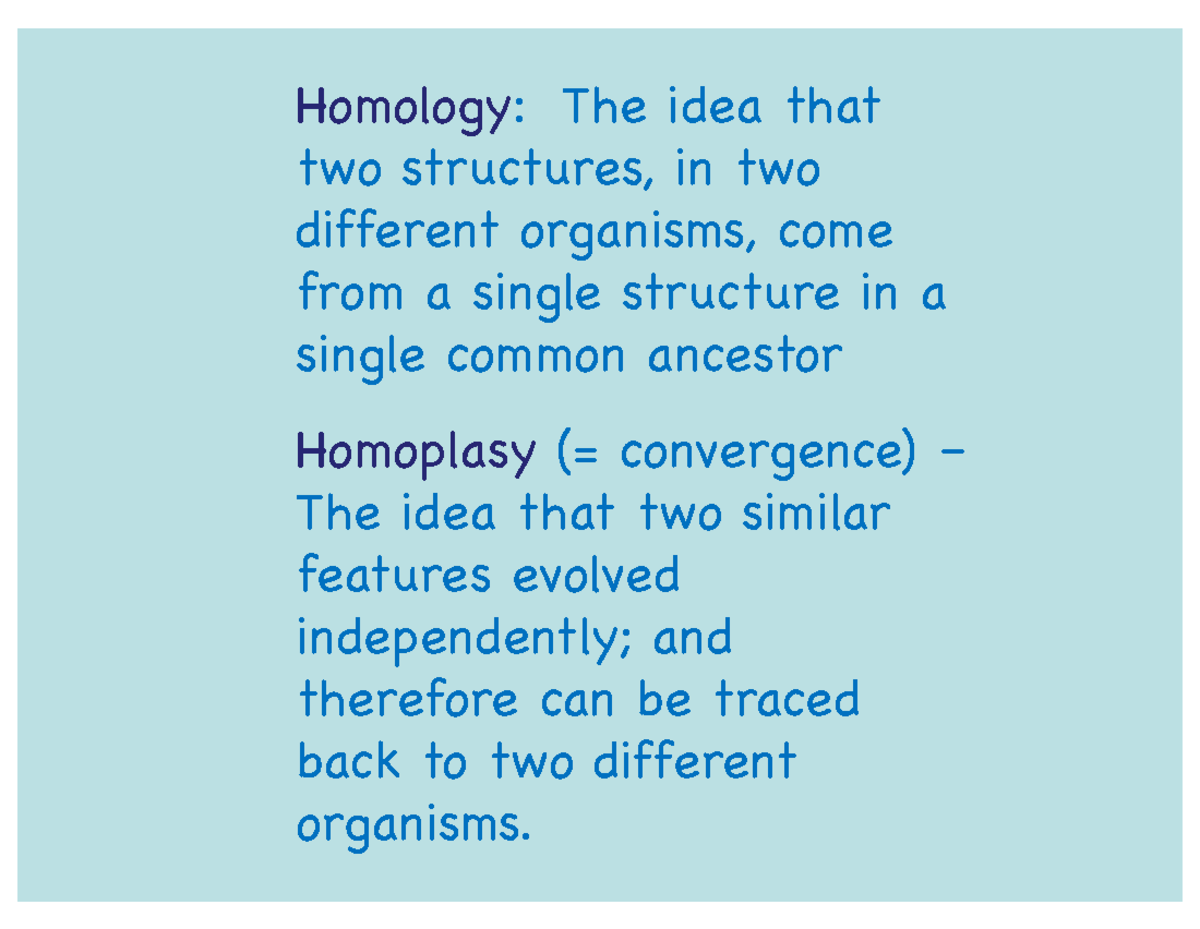 Fastovsky 1. Homology - Homology: The idea that two structures, in two ...