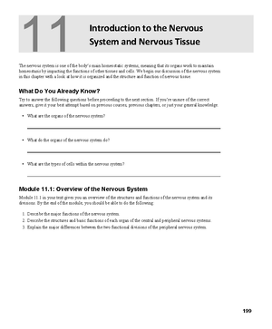 Cranial Nerves Quiz 2021 - Cranial Nerves Quiz There are 14 pairs ...