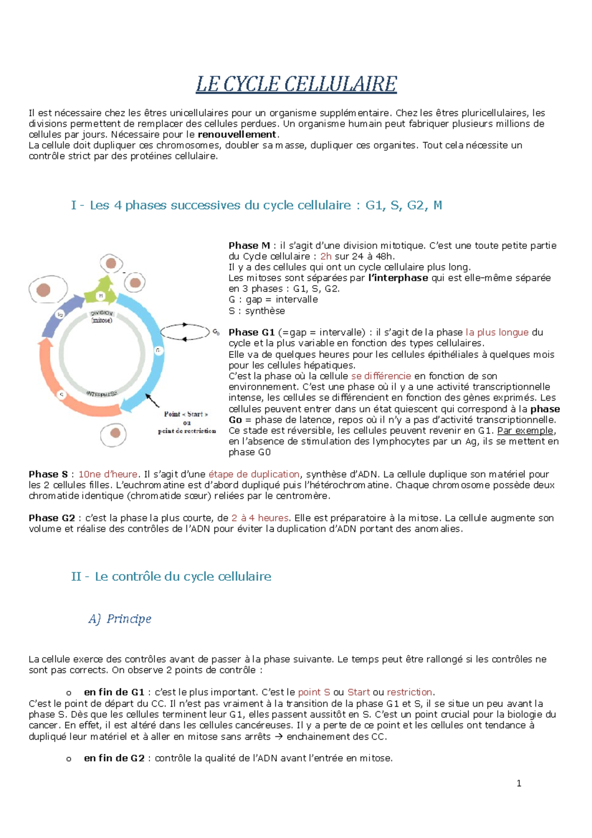 Le cycle cellulaire - LE CYCLE CELLULAIRE Il est nécessaire chez les ...