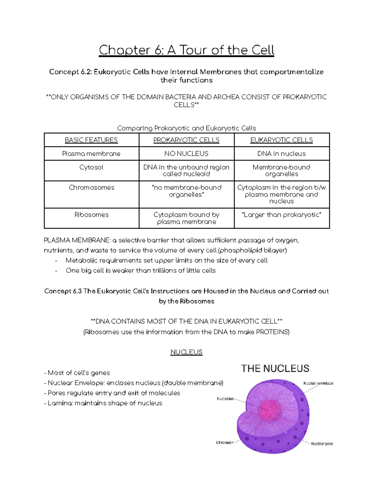 Chapter 6 A Tour of the Cell - Chapter 6: A Tour of the Cell Concept 6 ...