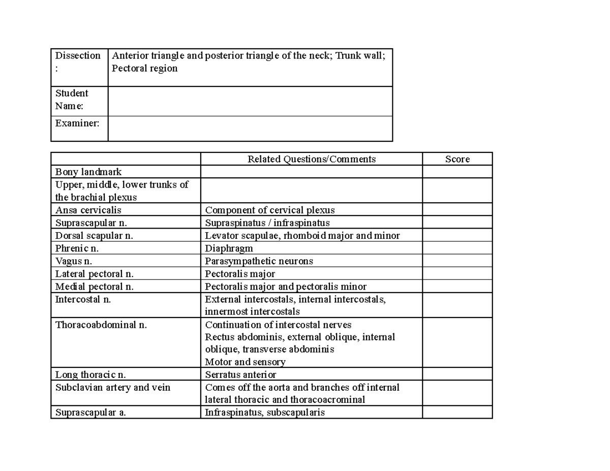 DPT clinical anatomy table conference 4 - Dissection : Anterior ...