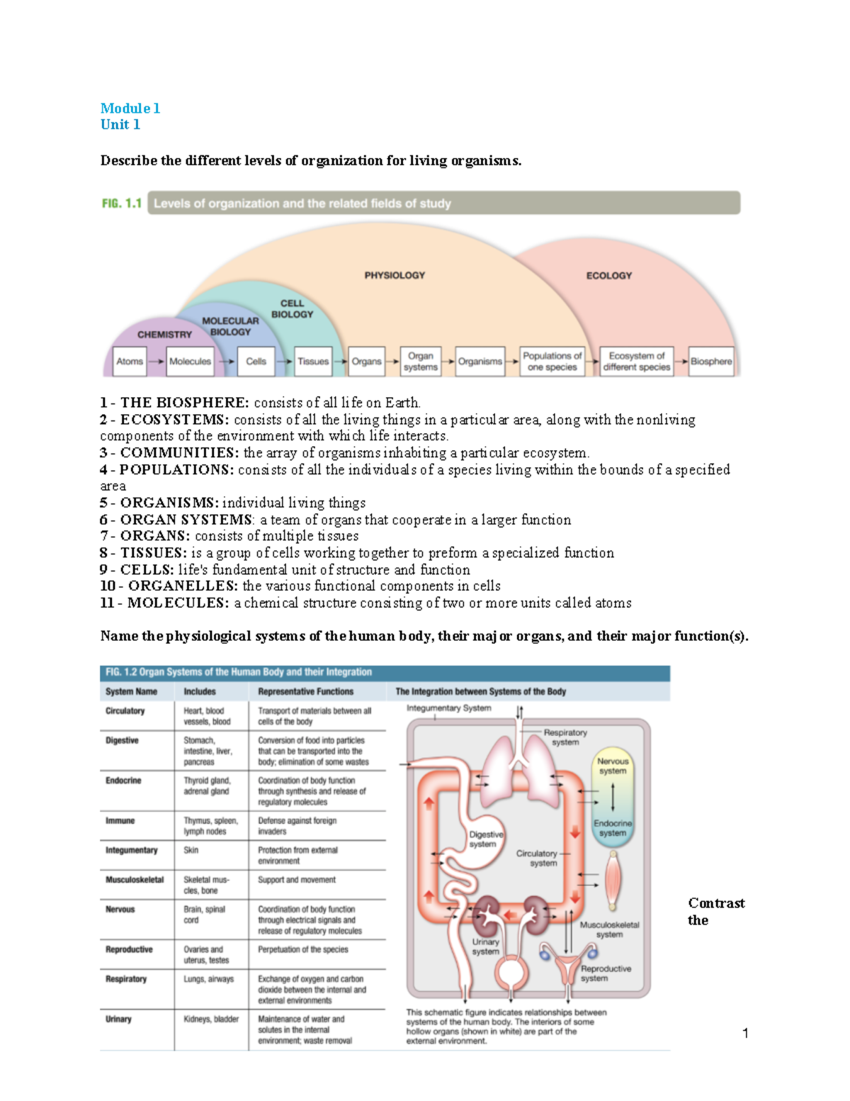 Module One LO's - Module 1 Unit 1 Describe the different levels of ...