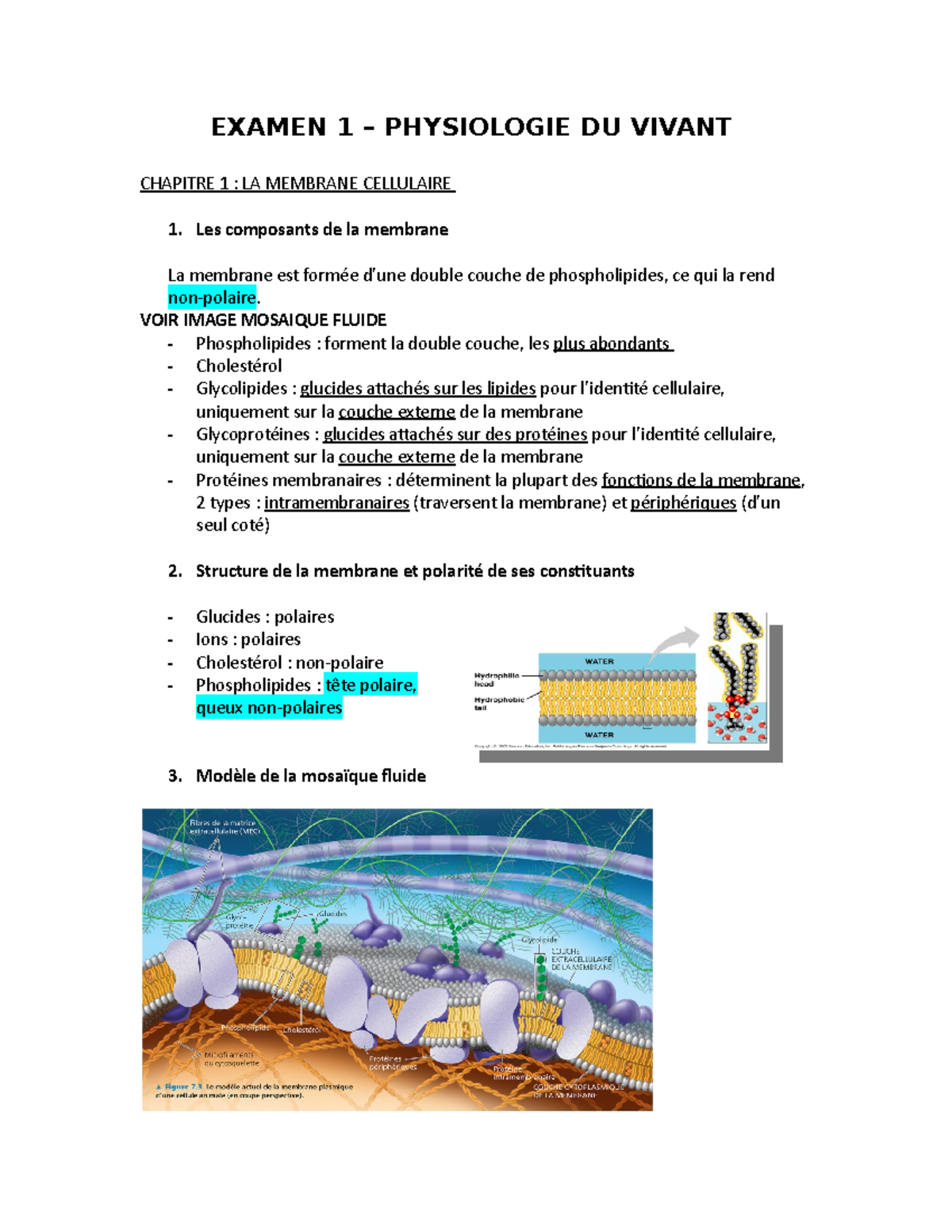 Examen 1 - physiologie du vivant - EXAMEN 1 – PHYSIOLOGIE DU VIVANT ...