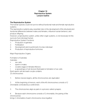 Lecture Outline Urinary System - CHAPTER 18 Urinary System and Fluid ...