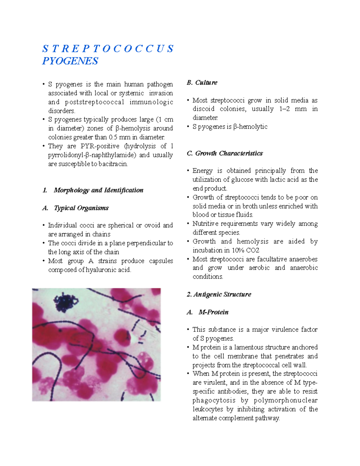 9. GRAM Positive Cocci- Streptococcus Pyogenes - S T R E P T O C O C C ...