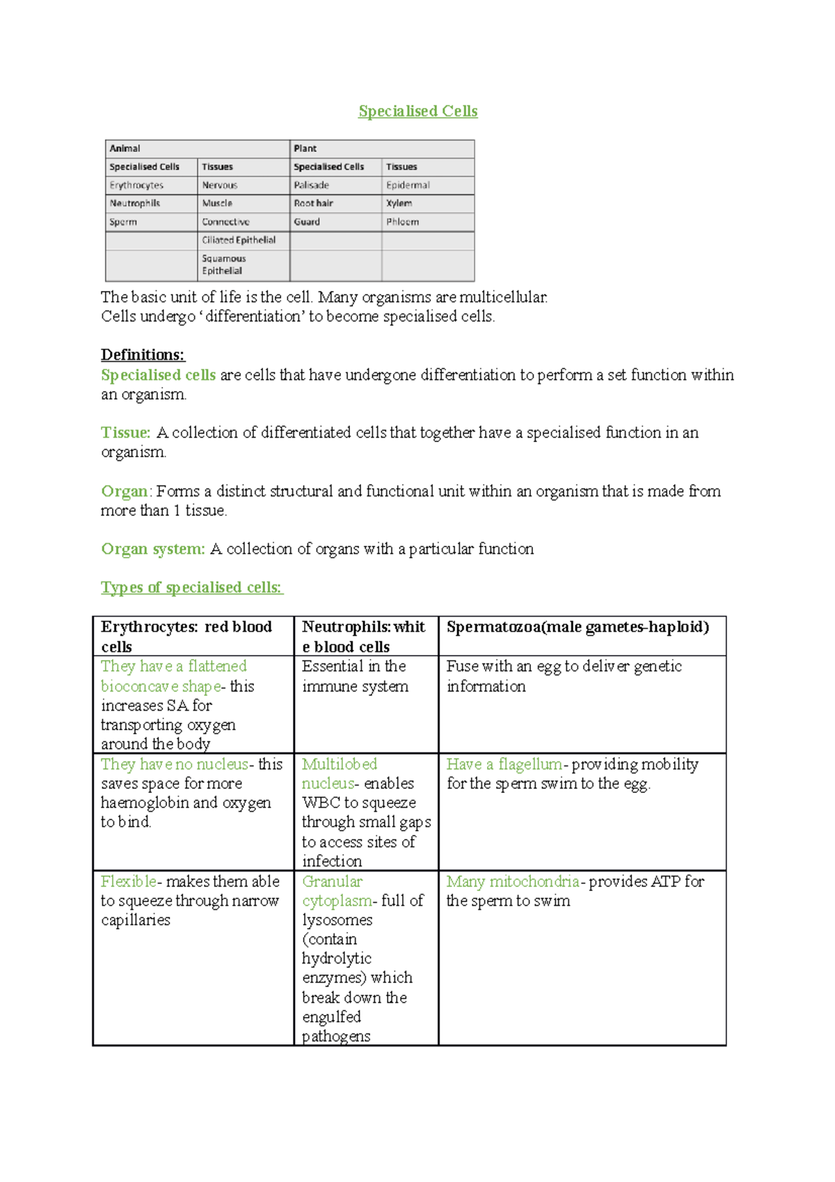 Specialised Cells - Specialised Cells The basic unit of life is the ...
