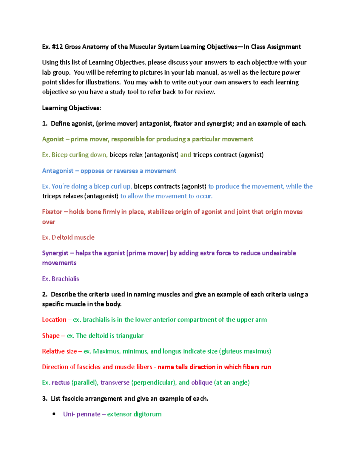 Ex. 12-Learning Objectives-1 - Ex. #12 Gross Anatomy of the Muscular ...