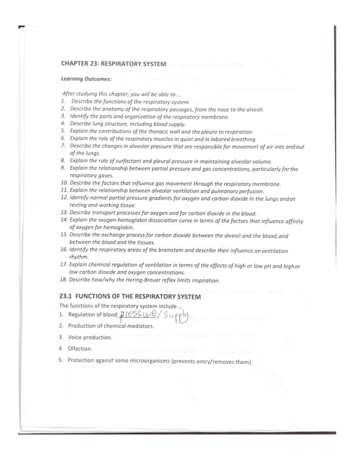Chapter 23: Respiratory System - BIO 218 - Studocu