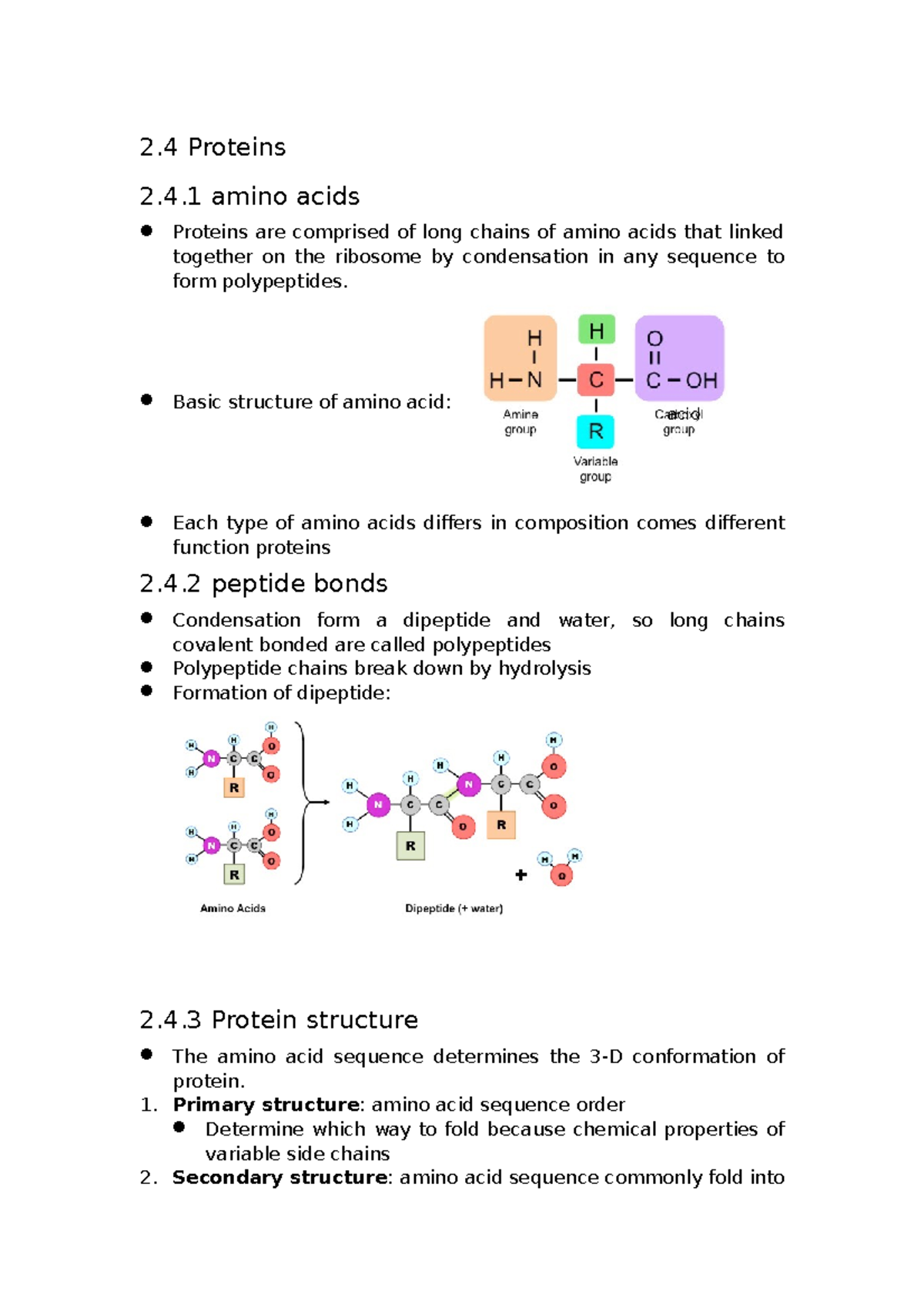 Biology SL protein (2020 syllabus) - 2 Proteins 2.4 amino acids ...