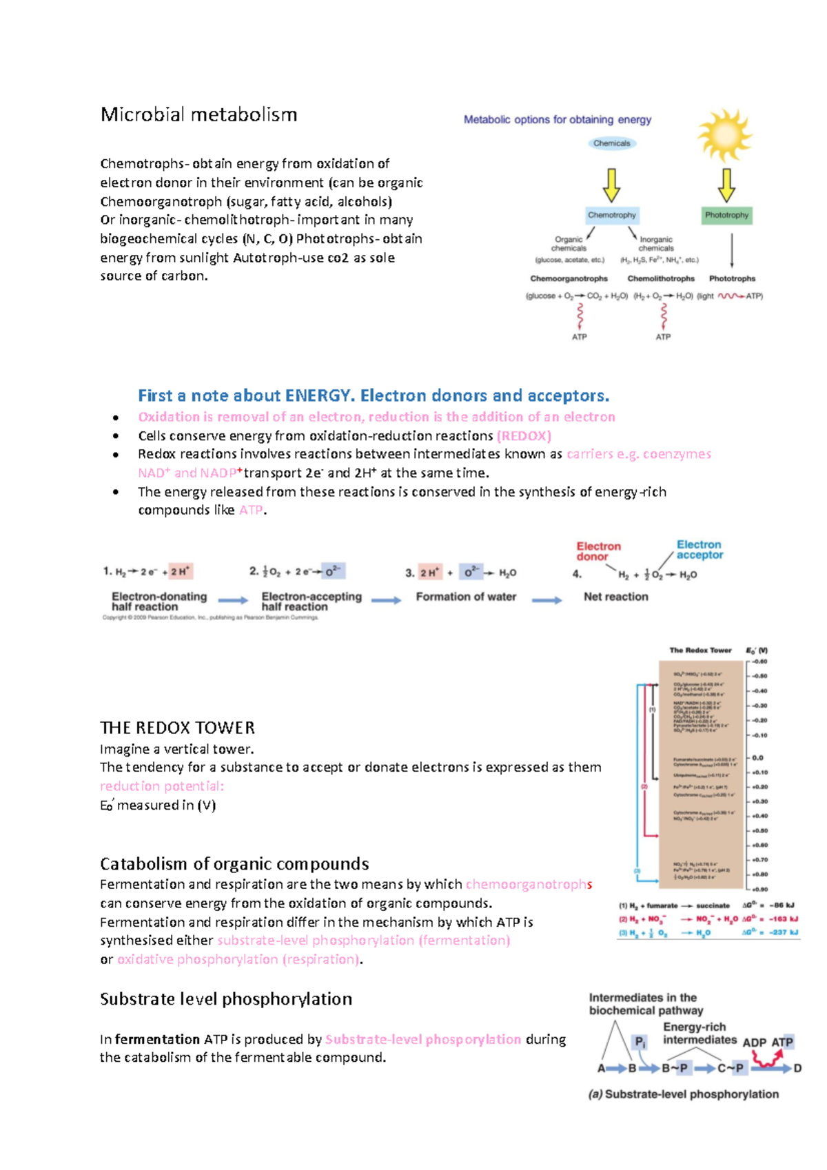Microbial Metabolism - Lecture notes 5 - Microbial metabolism ...