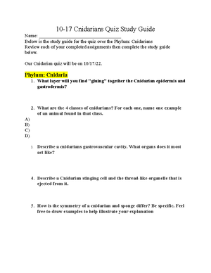 Synthetic vs Natural Sponge Lab - Synthetic versus Natural Sponges ...