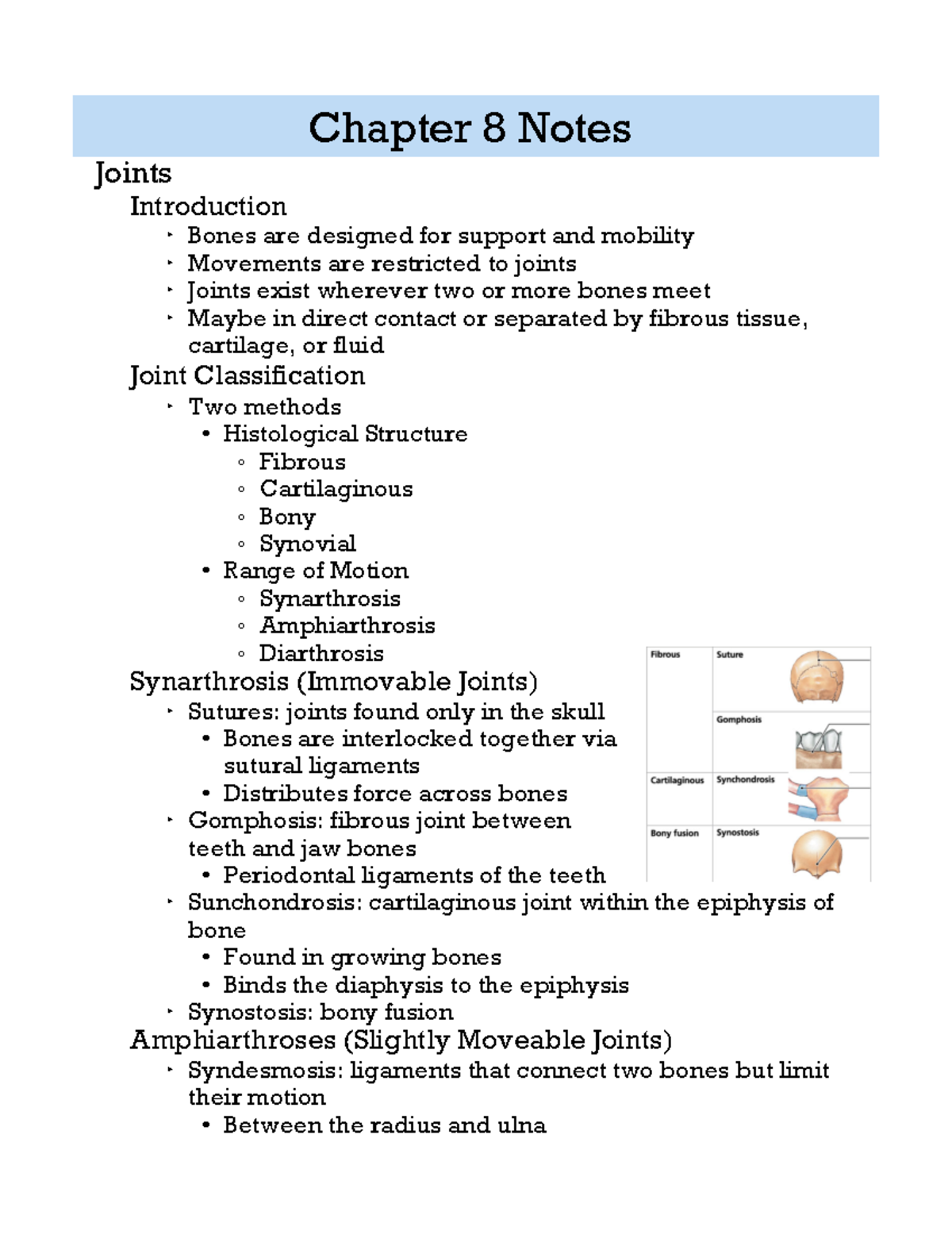 Chapter 8 Notes - courtney traugh - Chapter 8 Notes Joints Introduction ...