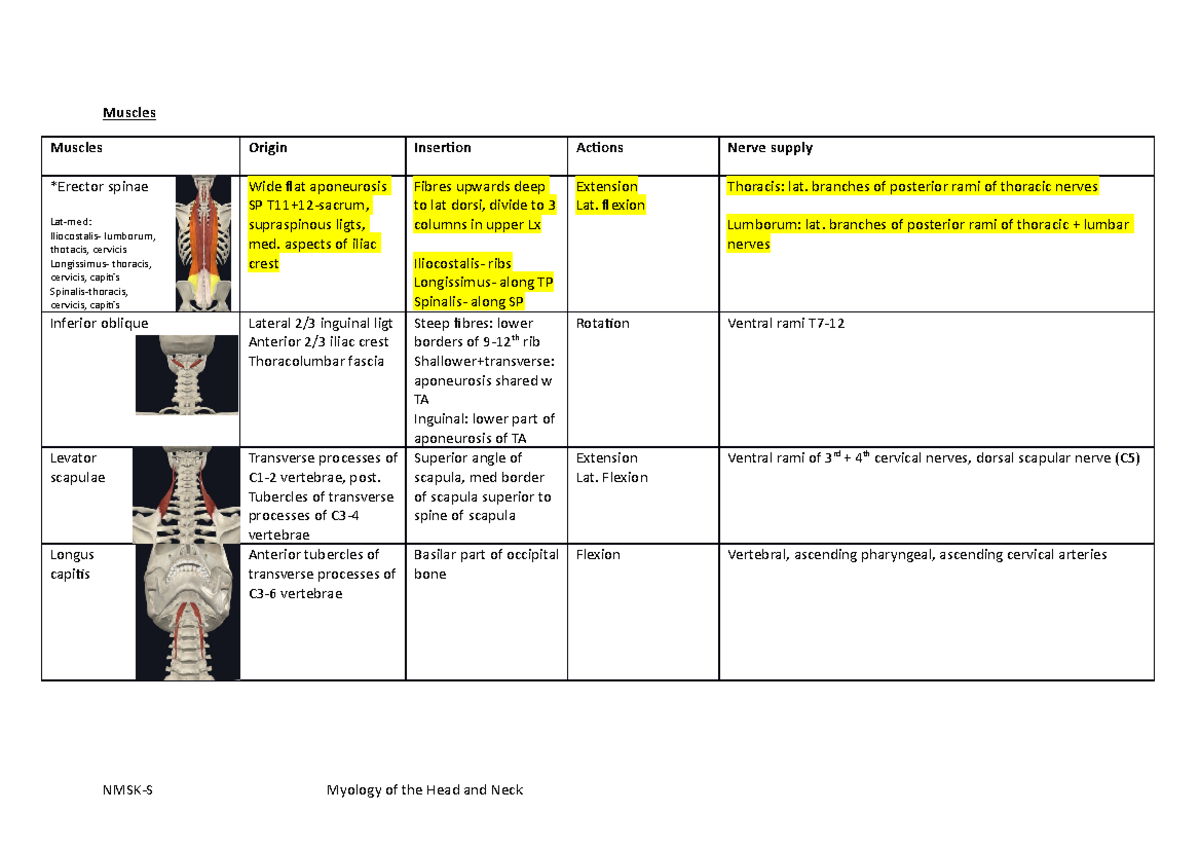 Cx spine notes - Muscles Muscles Origin Insertion Actions Nerve supply ...