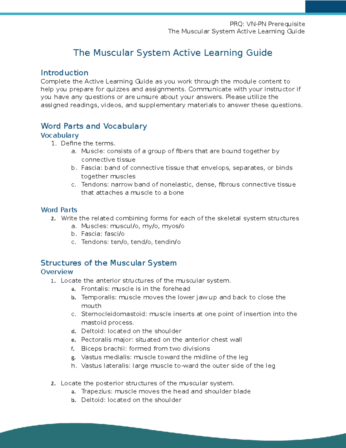Muscular System Active Learning Guide - Communicate with your ...
