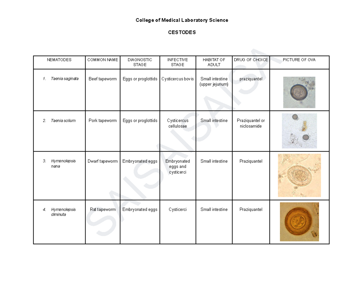 PARA Finals Cestodes - SAISAISAISA College of Medical Laboratory ...