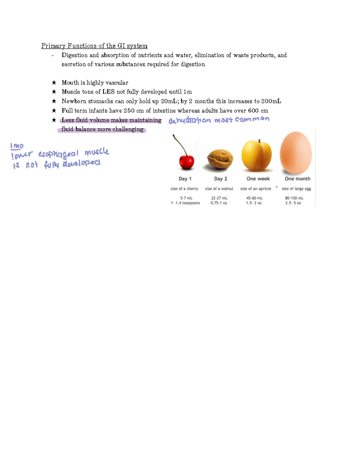 Primary Functions of the GI system - Primary Functions of the GI system ...