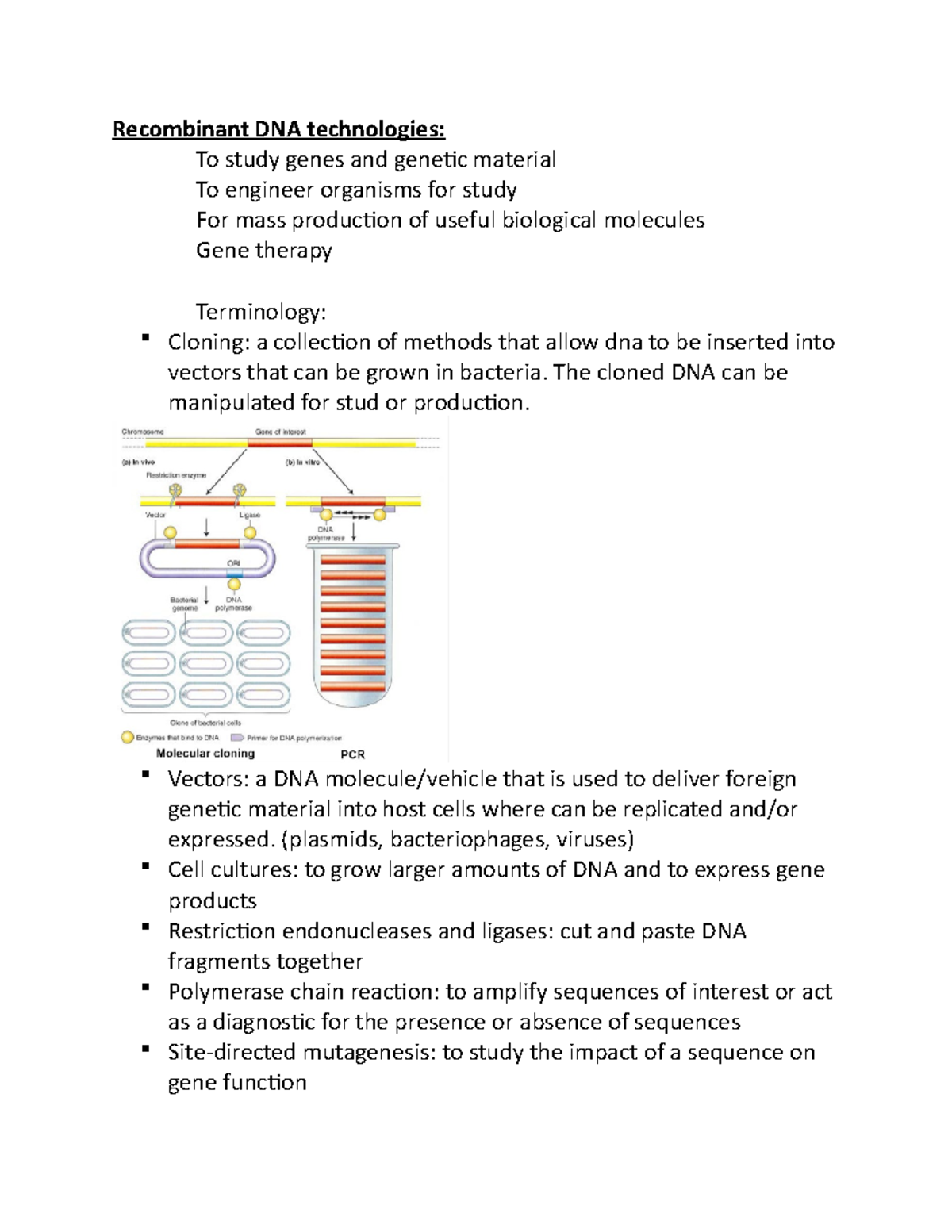 Recombinant DNA technologies - The cloned DNA can be manipulated for stud or production. Vectors ...
