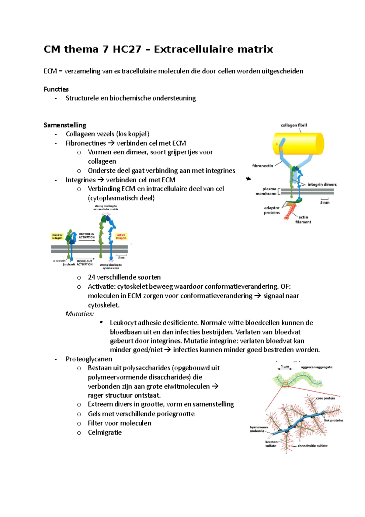 CM thema 7 HC27 - CM thema 7 HC27 – Extracellulaire matrix ECM ...