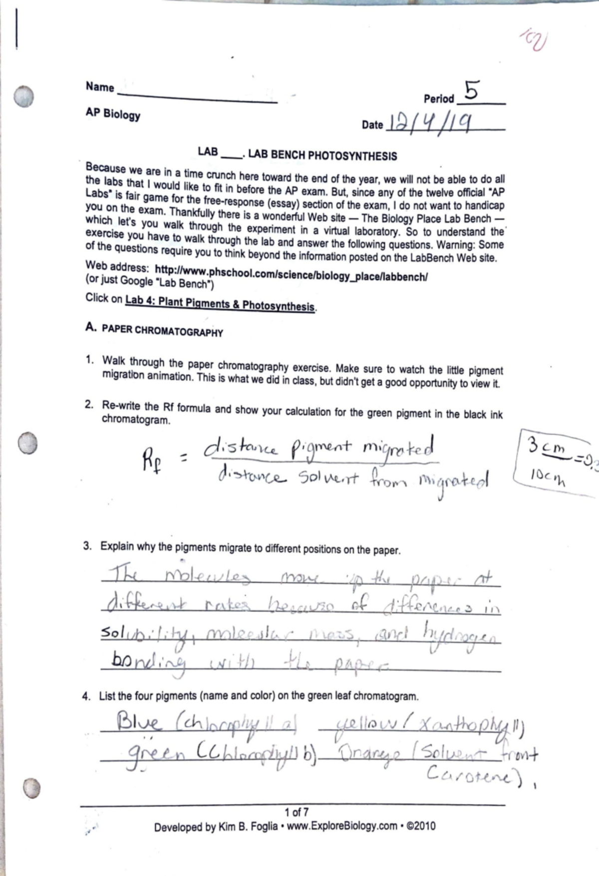 Photosynthesis lab - Lab assignment. - 0 Name - Perlod_b __ AP Biology ...