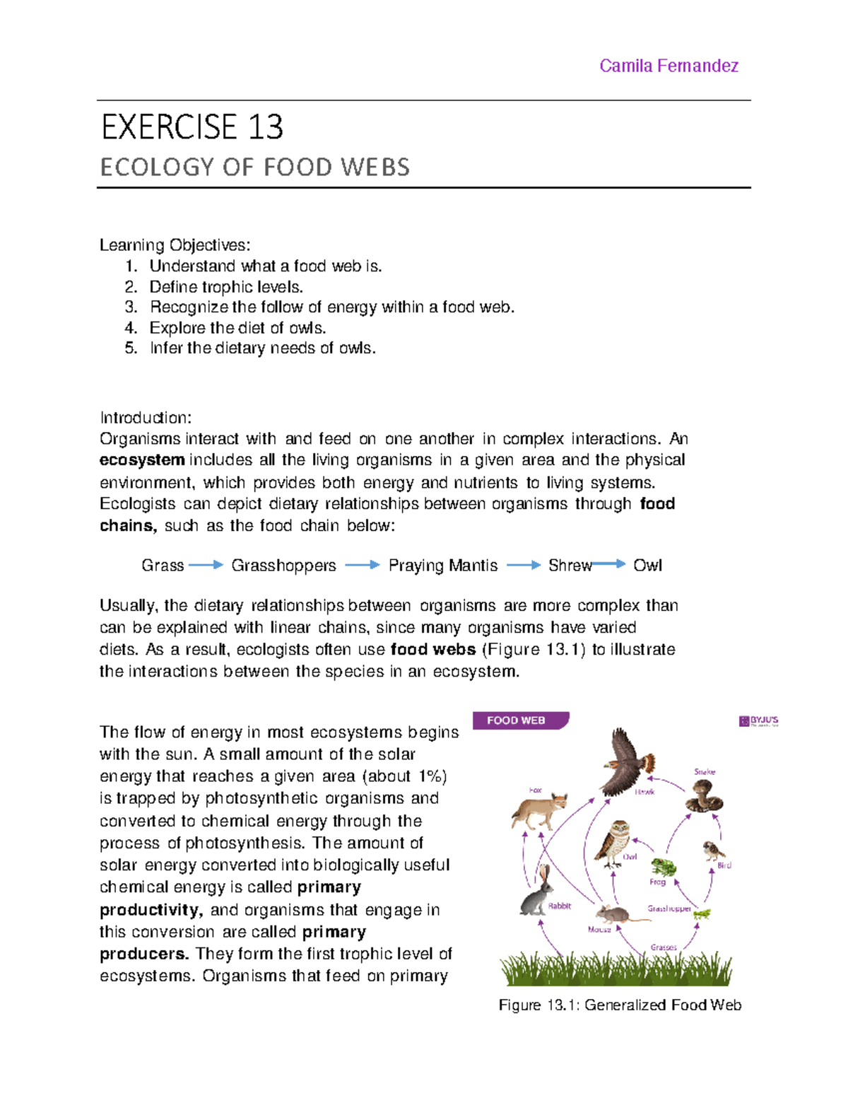 LM EX13 Ecology of Food Webs - EXERCISE 13 ECOLOGY OF FOOD WEBS ...