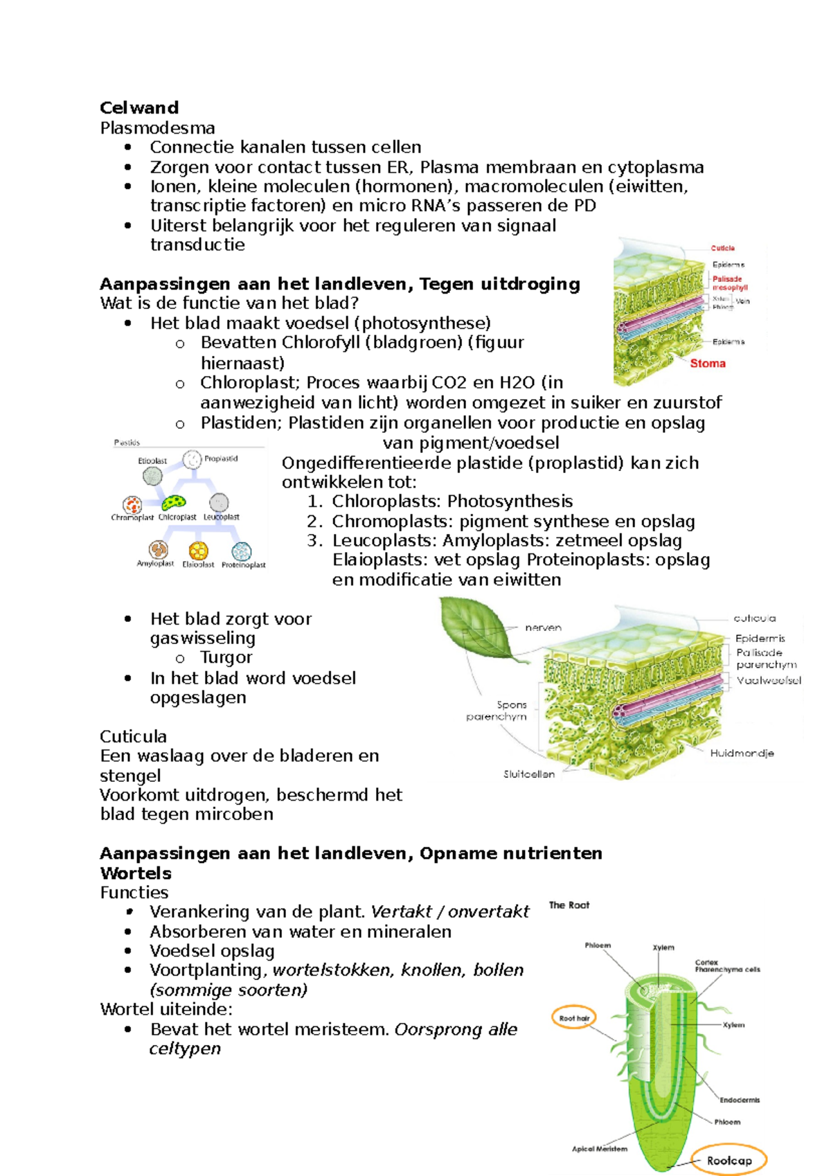 Samenvatting Biotechnologie - Celwand Plasmodesma Connectie kanalen ...