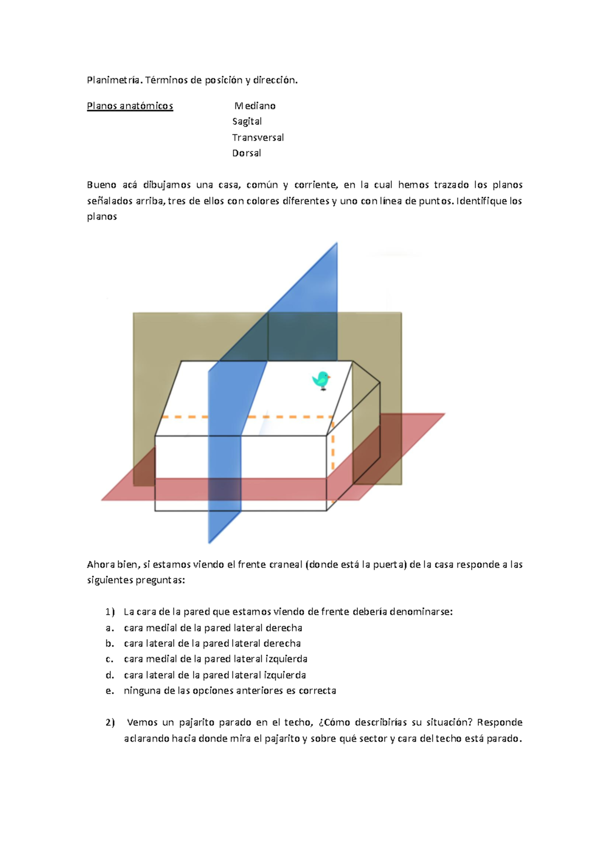 Planimetría - Términos de posición y dirección. Planos anatómicos ...