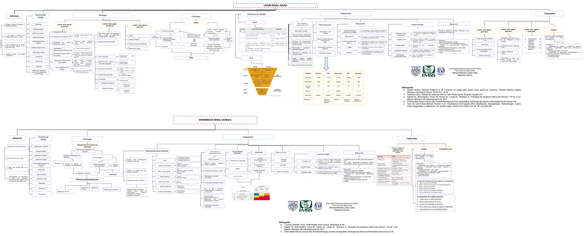 LRA y ERC mapa conceptual - LESIÓN RENAL AGUDA Definición Diagnóstico Cualquier alteración ...