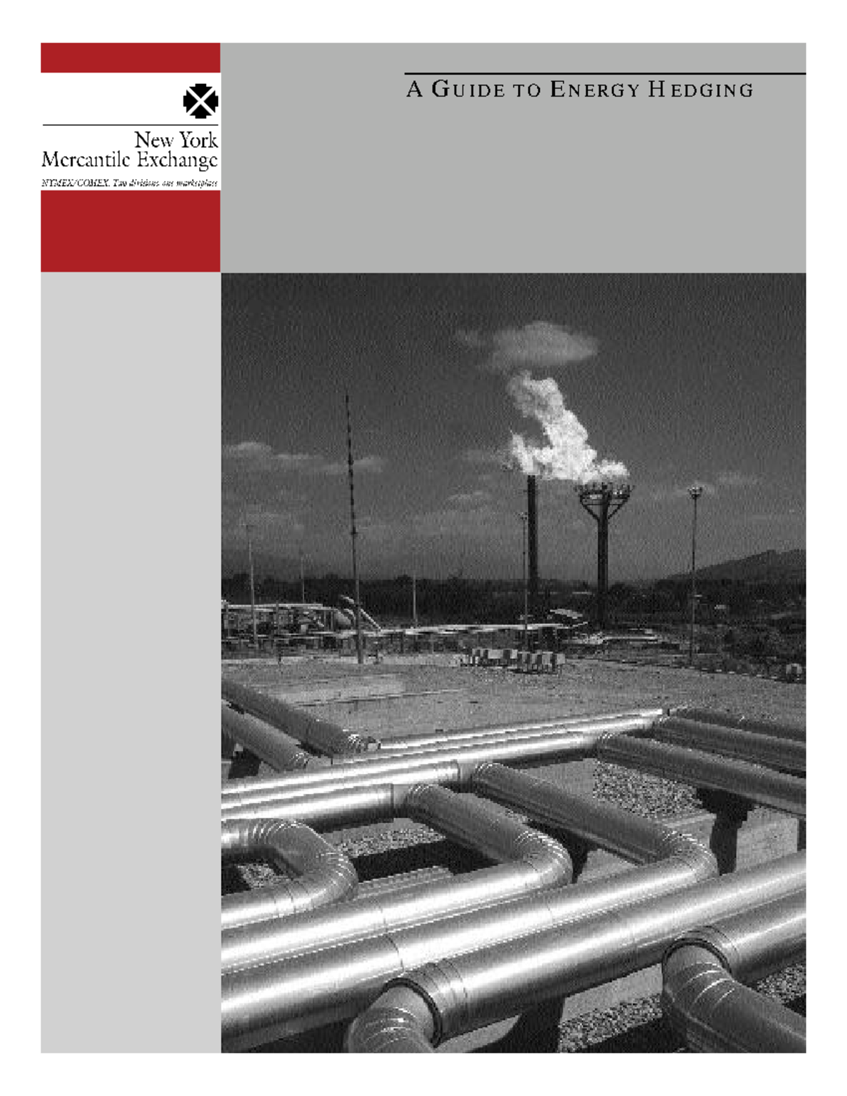 Guide Energy Hedging Nyme - A GUIDE TO ENERGY HEDGING 1 Other ...