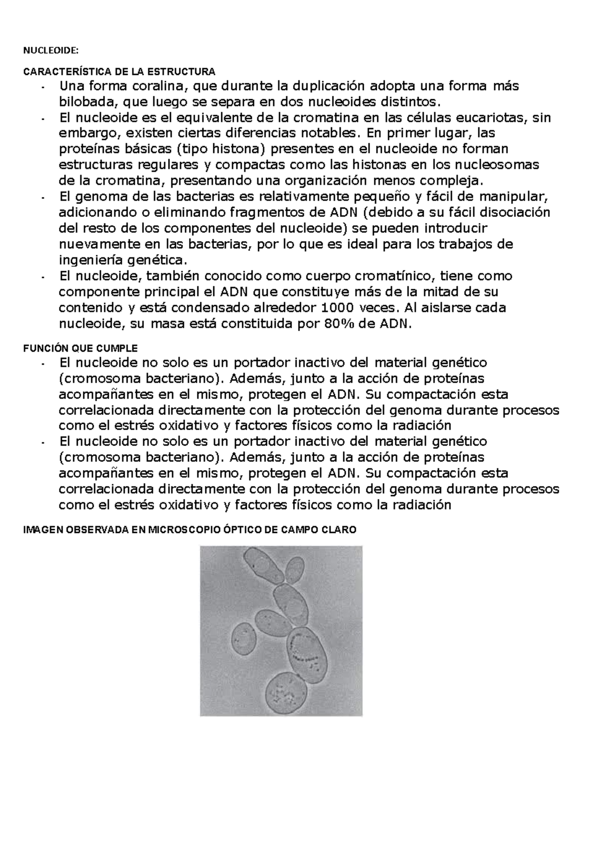 Nucleoide Y Plasmido - caracteristicas - NUCLEOIDE: CARACTERÍSTICA DE ...