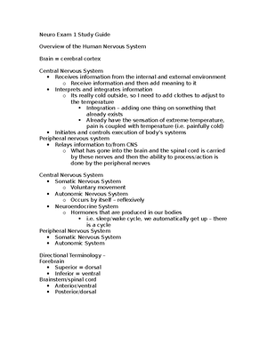 Human nervous system lecture notes - 8/26 Overview of the Human Nervous ...