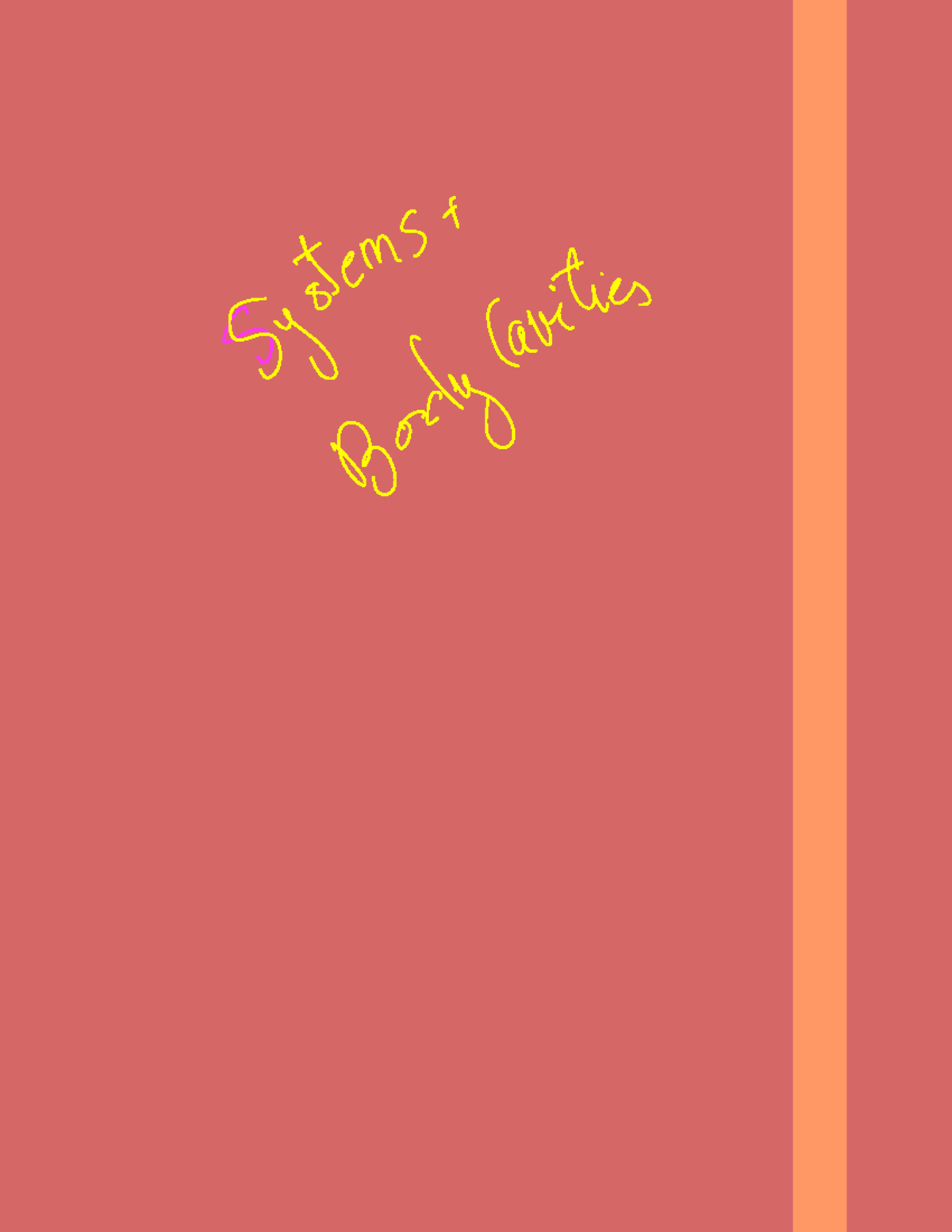 System And Body Cavities. Anatomical Positions - ggystemst Body ...