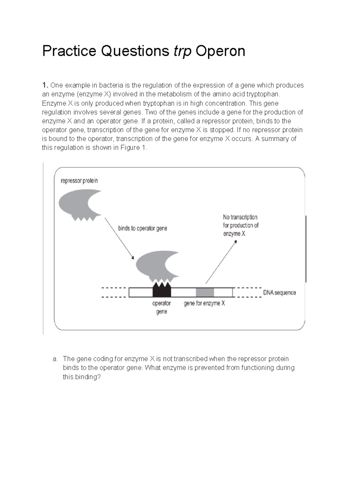 Trp operon practice questions - Practice Questions trp Operon 1. One ...