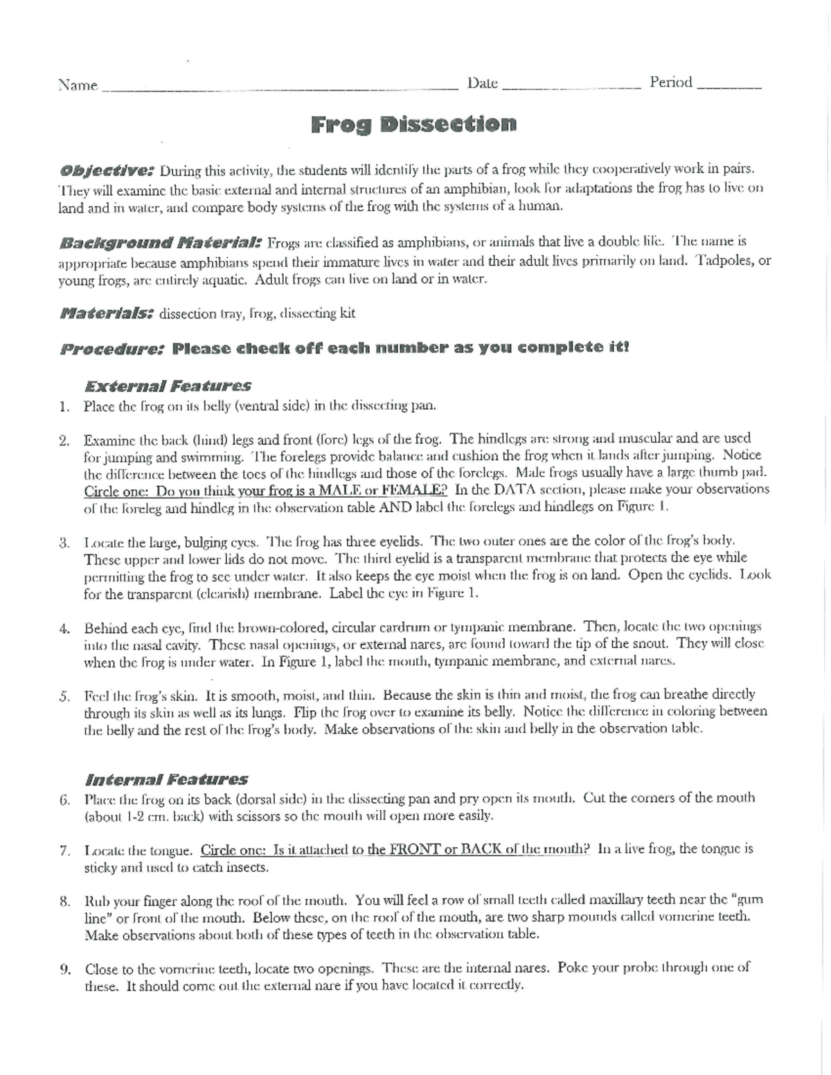 Frog dissection - Accountancy - Studocu