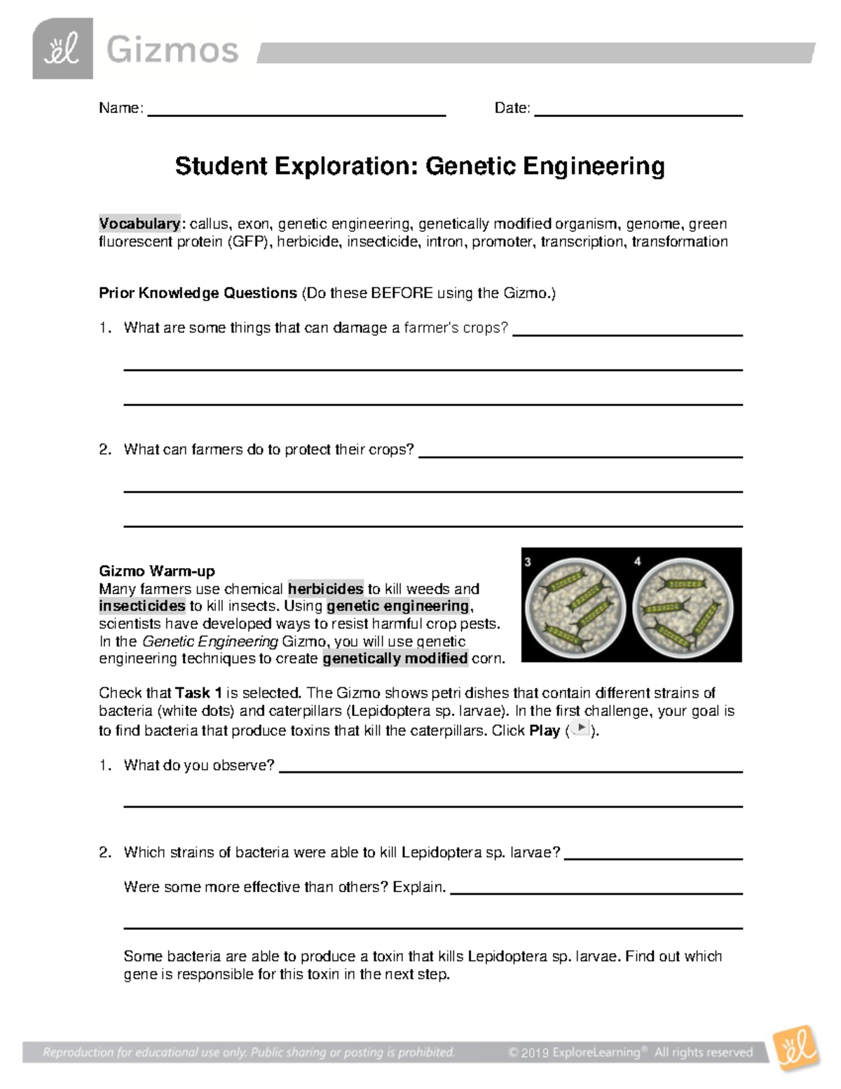 Genetic Engineering - Name: Date: Student Exploration: Genetic ...