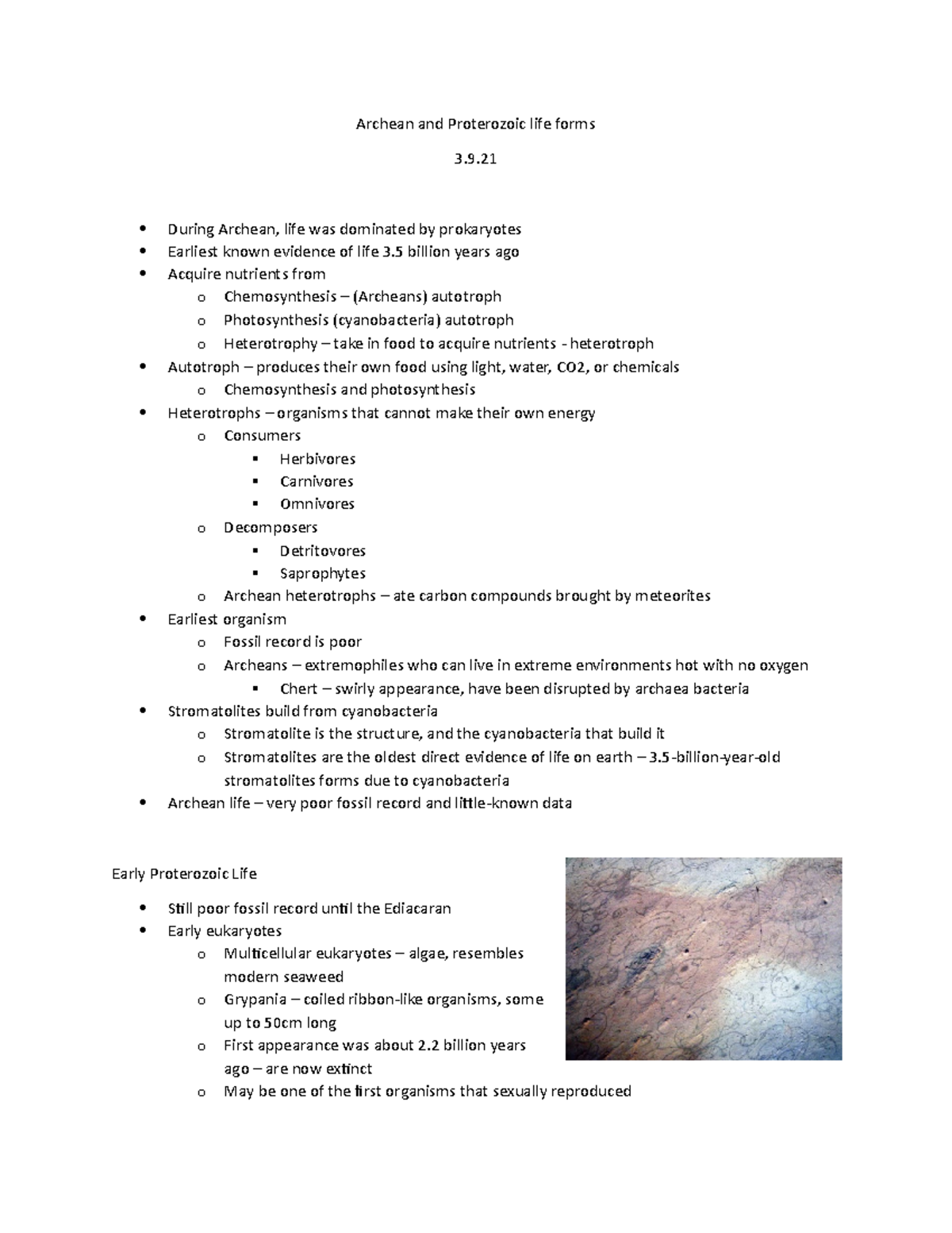 13 - Archean and Proterozoic life forms - During Archean, life was ...