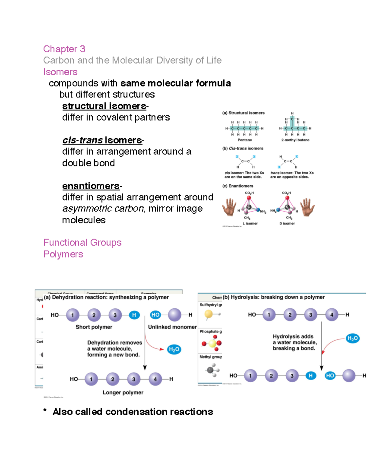 Biol chap 3 - Lecture notes chapter 3 - Chapter 3 Carbon and the ...