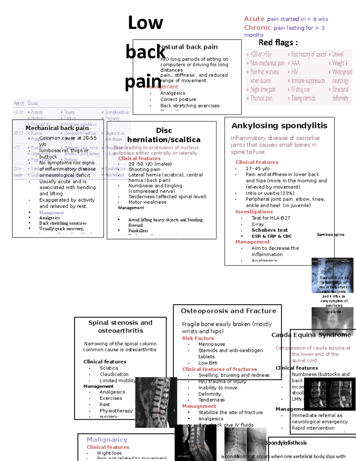 Back pain - summarize back pain DD - Disc herniation/scaitica Tear ...