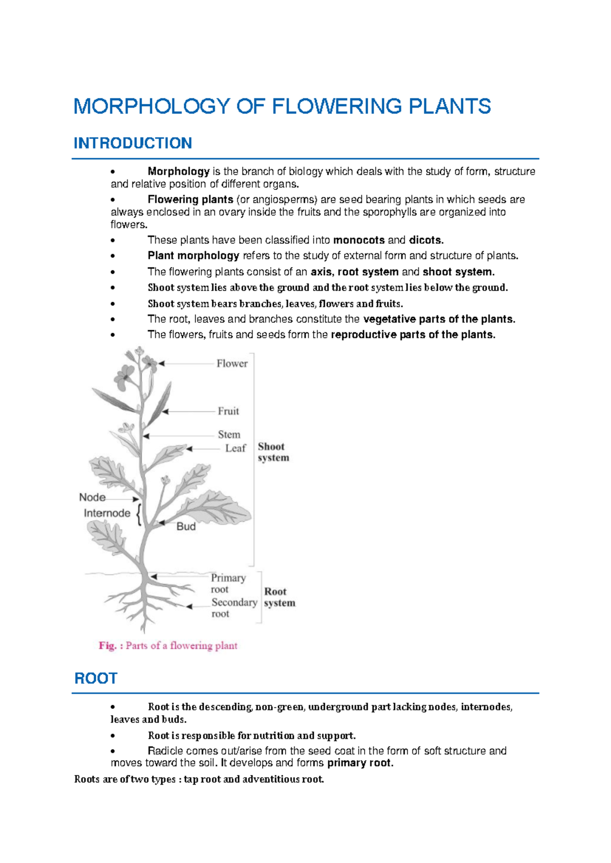 Morphology OF Flowering Plants - MORPHOLOGY OF FLOWERING PLANTS ...