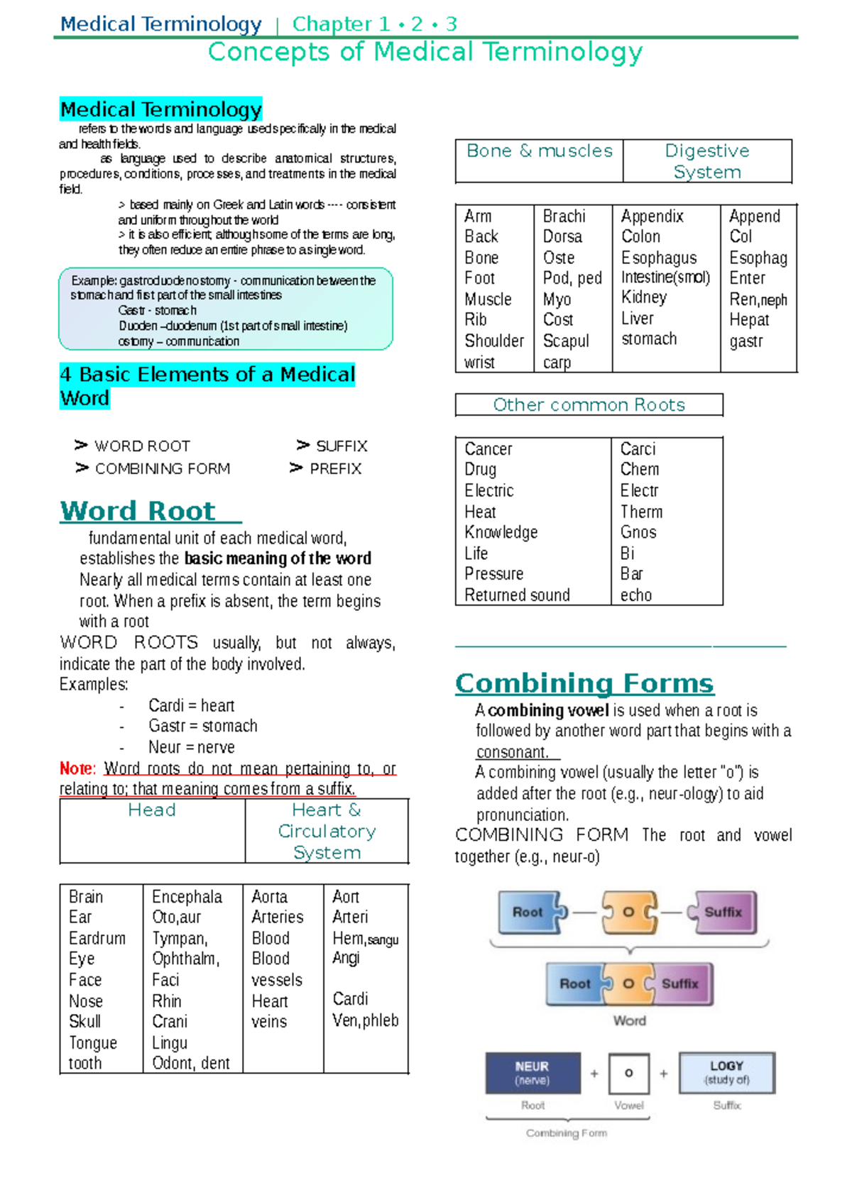 Concepts of Medical Terminology - Medical Terminology | Chapter 1 • 2 ...