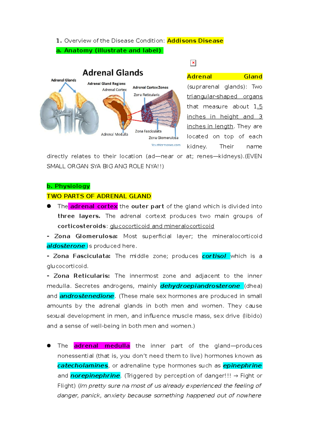 Hyper AND Hypofunction OF THE Adrenal Gland - Overview of the Disease ...