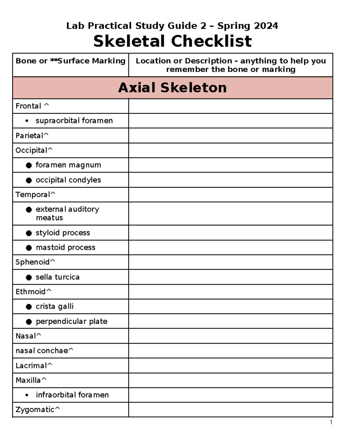 LPSG 2 Spring 2024 24 - Skeletal Checklist Bone or **Surface Marking ...