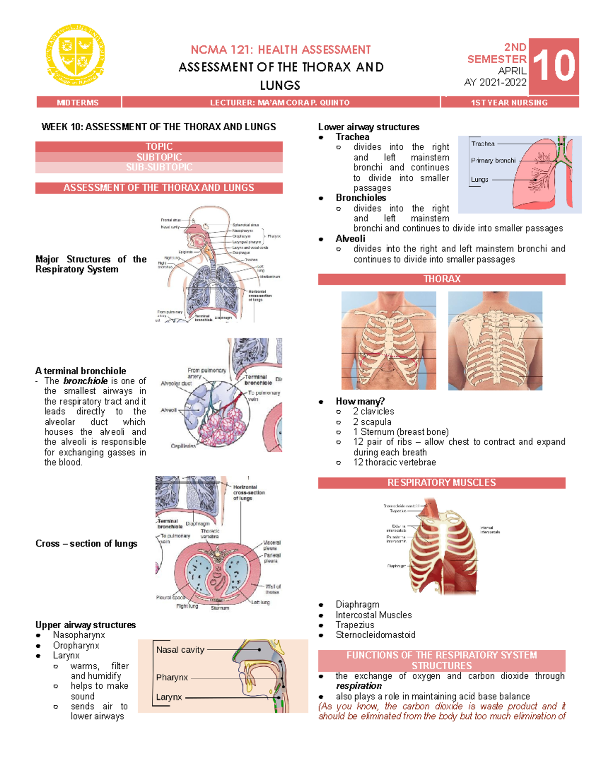 WEEK-10 - Assessment-OF-THE- Thorax-AND- Lungs - NCMA 121: HEALTH ...